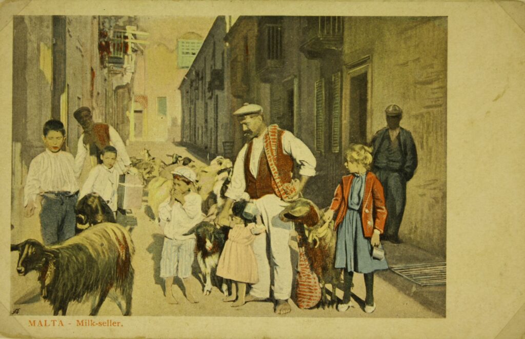 The British Empire and the Maltese Goat - Digital Treasures